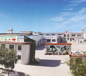 Barley Green Leaves Powder Factory Direct Wholesale-Shanzhi Health Drink